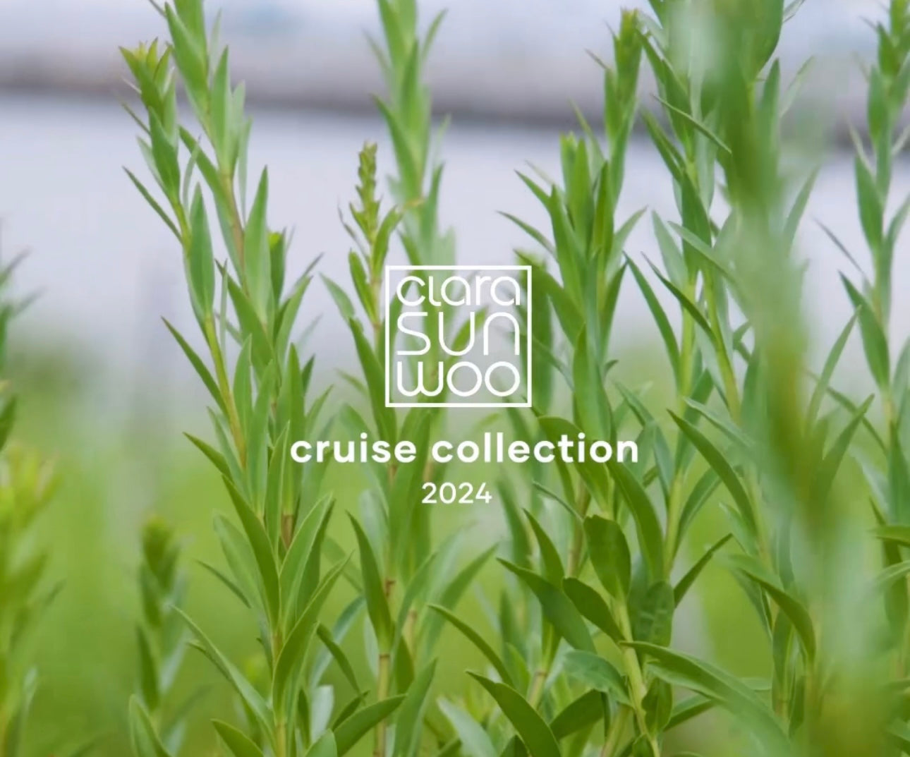 BLOG: Cruise Control Featured Styles – Clara Sunwoo